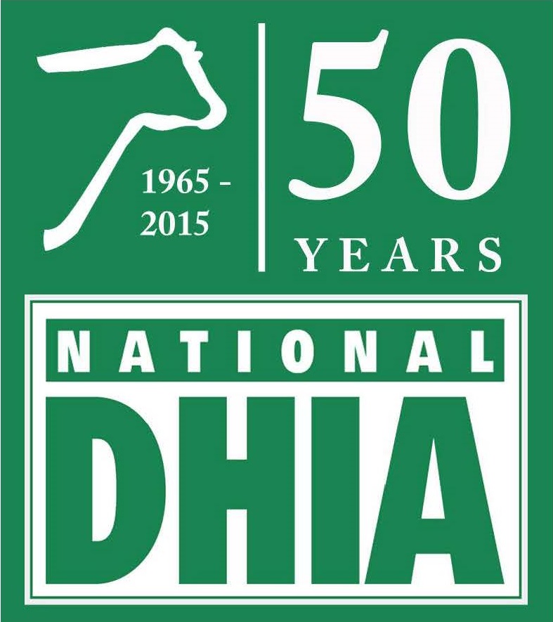 History – DHIA